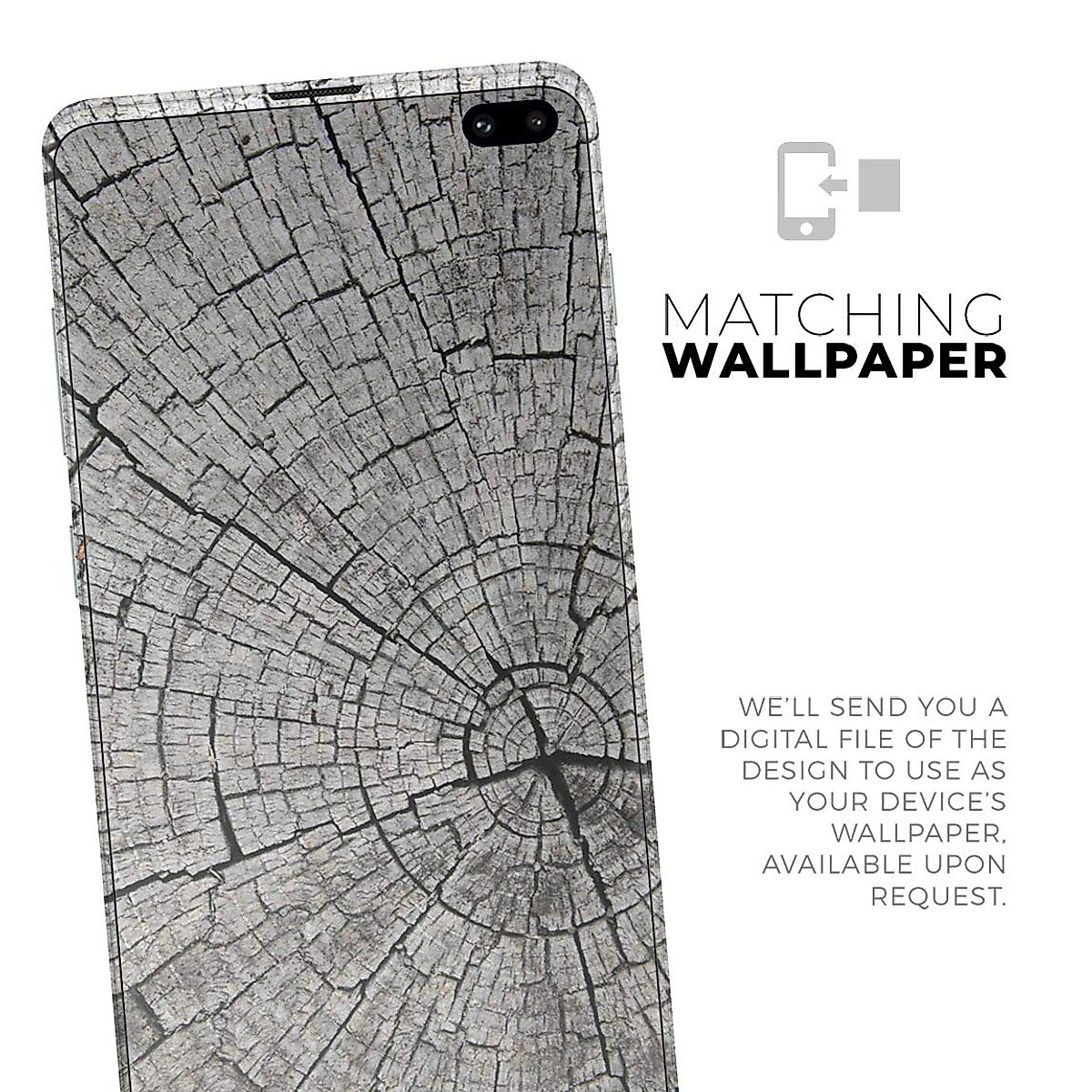 DesignSkinz Aged Cracked Tree Stump Core Protective Vinyl Decal Wrap Skin Cover Compatible with The Samsung Galaxy S20 (Screen Trim & Back Glass Skin)
