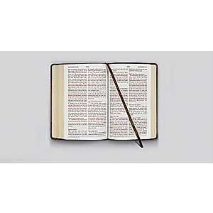 ESV Large Print Personal Size Bible (TruTone, Chestnut)