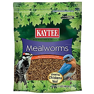 Kaytee Wild Bird Food Mealworms For Bluebirds, Wrens, Robins, Chickadees, Woodpeckers, Cardinals & Chickens, 17.6 Ounce