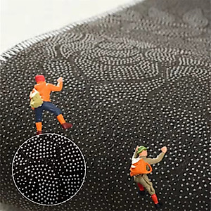 ABC Round Rug for Kids Soft Alphabet Nursery Area Rug Boys Girls Educational Learn Fun Rug Play Mat Baby Crawling Mat Carpet for Kids Room Bedroom Living Room Decor (Dinosaur, 39 inch)