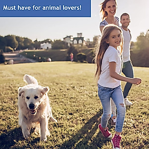 3 Pack Tick Remover Tool for Pets and Humans, Portable Tick Removal, Safe and Fast, Essential and Emergency Tool for Outdoor Activities, Effective and Painless