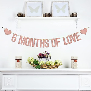 6 Months of Love Banner, Half Way to One Banner, Happy 6 Month, Half Birthday Decorations, 1/2 Birthday Baby Shower Party, First Birthday Party Supplies Rose Gold Glitter