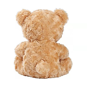 CHOIEO 10" Shawty U Fine Teddy Bear with Heart, Brown Plush Stuffed Animal Teddy Bear, Best Gifts for Girlfriend, Wife, Women, for Valentines Day, Birthday (Brown)