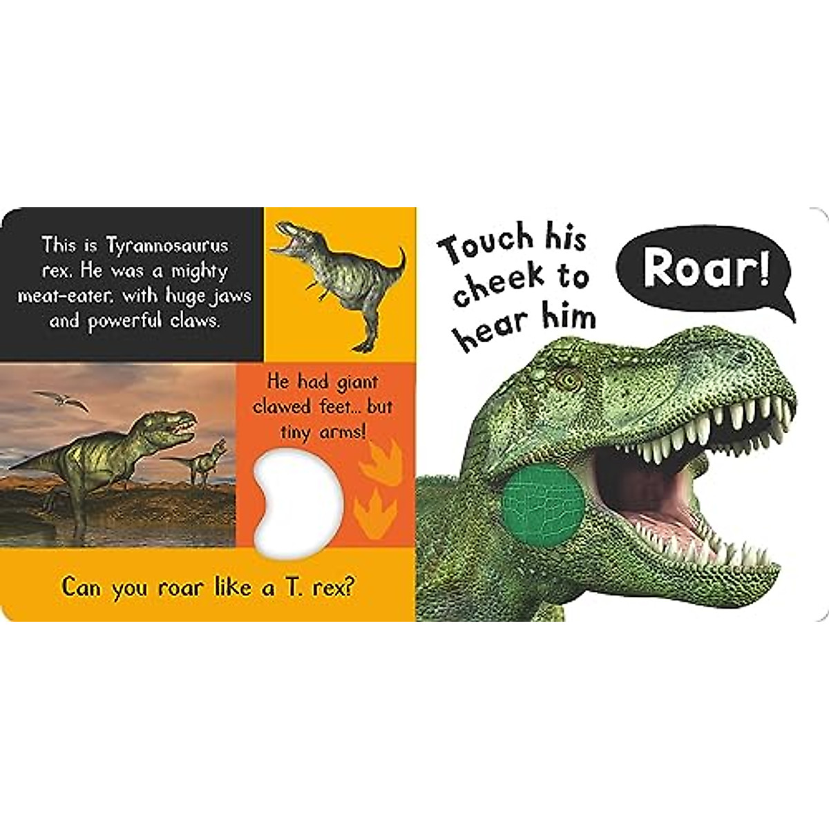 Noisy Dinosaurs: Includes Six Sounds! (My First)