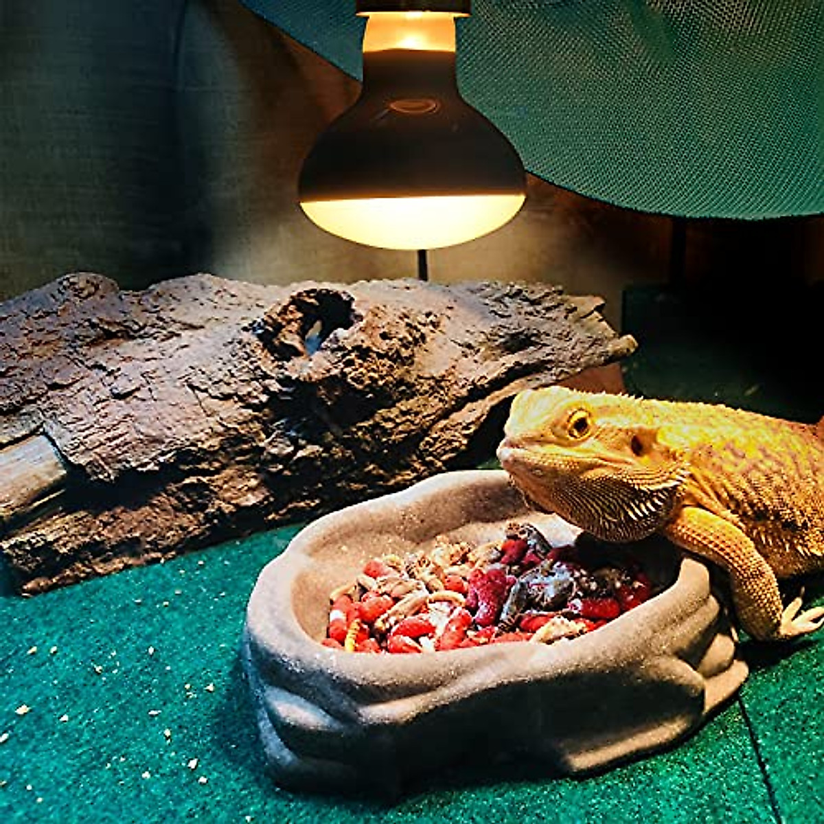 Infrared Heat lamp Basking Spot Light Bulb，LEDESIGN 75 Watt White Heat Lamp Bulbs for Reptiles and Amphibian Use, 2 Packs (White)