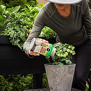 453g Shake n Feed Flowering Fruits and Vegetables Plant Fertilizer