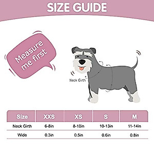 PUPTECK Basic Adjustable Cat Collar with Bling Diamante and Double Bells, for Kitten and Small Puppy, Fashion and Shining (XXS: Collar Adjustable: 6-8in, 0.3inch Width, Pink)