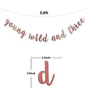 Rose Gold Glitter Young Wild and Three Banner - Happy 3rd Birthday Boy Girl Party Decorations - Great for Baby Shower Boho Tribal Themed 3rd Birthday Party Decor