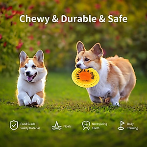 TANOFALO Dog Flying Disc, Dog Flyer Toy 10 Inch, Tear Resistant Soft TPR Material, Durable Interactive Outdoor Dog Fetch Toy-Floats in Water, Safe on Teeth for Large Dog, Puppies(Orange+Pink)