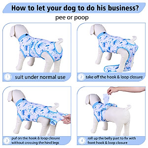 PetWarm Post Spay Dog Suit Female,Dog Surgery Suit,Cone of Shame Alternatives Bodysuit for Abdominal Wounds Skin Disease, Dog Bodysuit for Small Medium Large Dogs,Marine Animal Patterns,Blue,XS