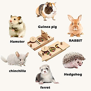 Boomcat Enrichment Foraging Toys,Puzzle Toys for Small Animals,Small pet Interactive Mental,Hide Treats Puzzle Game Hamster,Rabbit,Bunny,Rat,Guinea Pig,Chinchilla,Consume Energy and Relieve Boredom