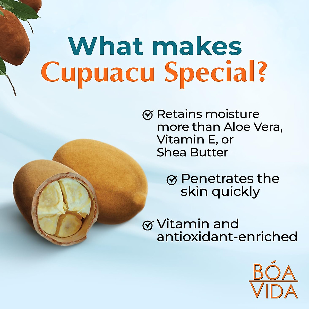 Deodorizing Citrus Plus Elder Shampoo and Body Wash by BoaVida with new leak-proof caps, Soap Made with Persimmon to Treat the Presence of Nonenal and Remove Old Person Smell, 8 oz