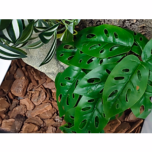 Woyrise Reptile Artificial Plants with Base, Terrarium Decor Amphibian Habitat Plant, Bearded Dragon Tank Accessories fit Gecko Lizard Chameleon Snake Frog - Monstera Adansonni