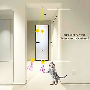 Mitubati Cat Toys Indoor Hanging Door Retractable Bird Cat Toy for Kitten Fun Exercise Interactive String Feather Cat Toys for Hunting Chase (6 Pack)