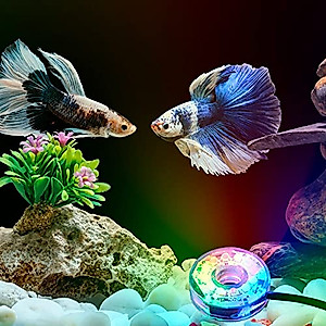 MiOYOOW LED Aquarium Light, Colorful Submersible LED Light Waterproof USB Underwater Light for Aquarium Fish Tank