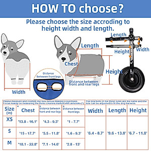 Adjustable Small Dog Wheelchair - Mobility Aid for Disabled Pets,Small Dog Wheelchair for Back Legs， Leg Brace & Hip Support (Middle)