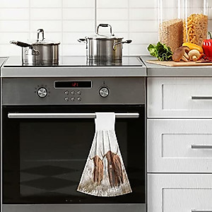 Kcldeci Winter Furry Scottish Highland Cow Hanging Hand Towels with Hanging Loop Bathroom Hand Towels Soft Thick Dish Cloth Hand Dry Towels Hand Towels for Kitchen Bathroom Hanging 2Pack