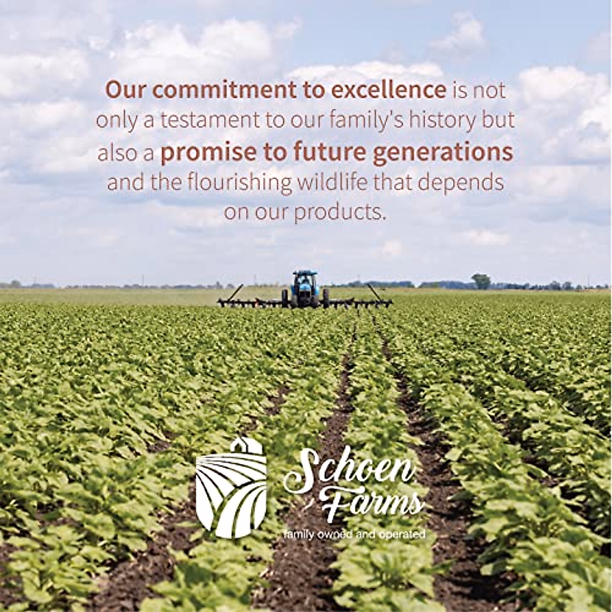 Schoen Farms Sunflower Kernels and Chips (10 LBS) Hearts, Bird Seed