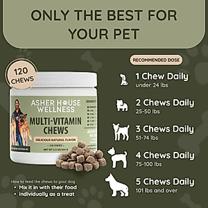 Asher House Wellness Dog Multivitamin Chews - Dog Vitamins and Supplements, Soft Chew for Pet Dogs with Probiotics, Flaxseed, Colostrum - Comprehensive Health Support from Puppy to Senior, 120 Chews