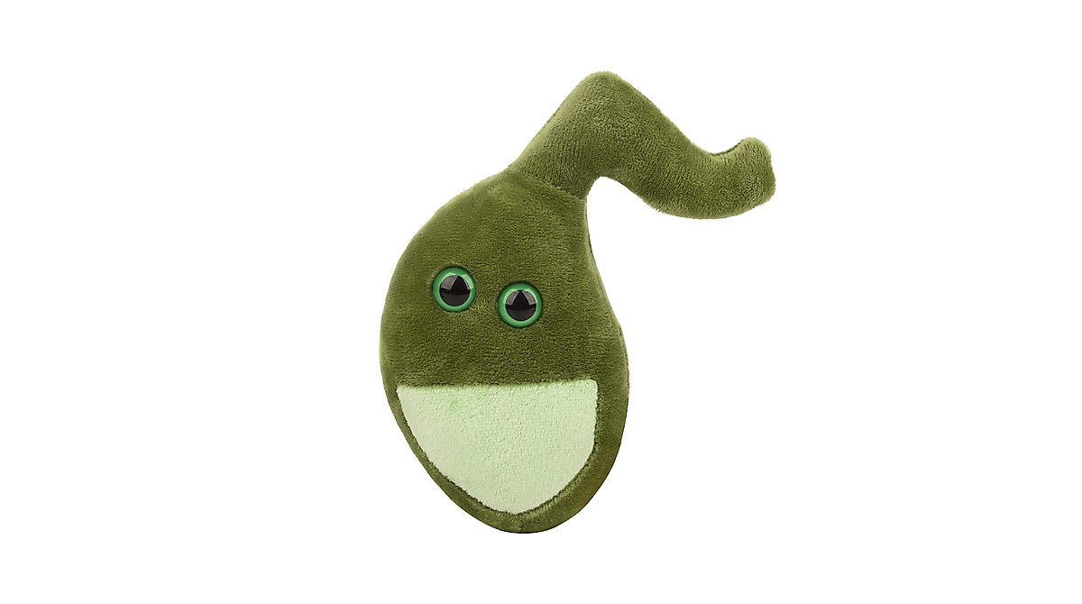 Cuddle with GIANTmicrobes Gallbladder Plush Toy