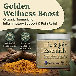 Pawsitive Vida Dog Joint Supplement - Hip and Joint Relief for Dogs - Glucosamine, Hemp Seed Oil, Chondroitin, & MSM + Vitamins – 120 Chews