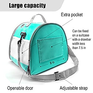 Small Animal Carrier Bag, Upgraded Portable Guinea Pig Carriers, Transparent Hamster Carrying Case, Reptile Rat Rabbit Bearded Dragon Hedgehog Carrier Bag for Travel, Hiking, Walking, Outdoor (Green)