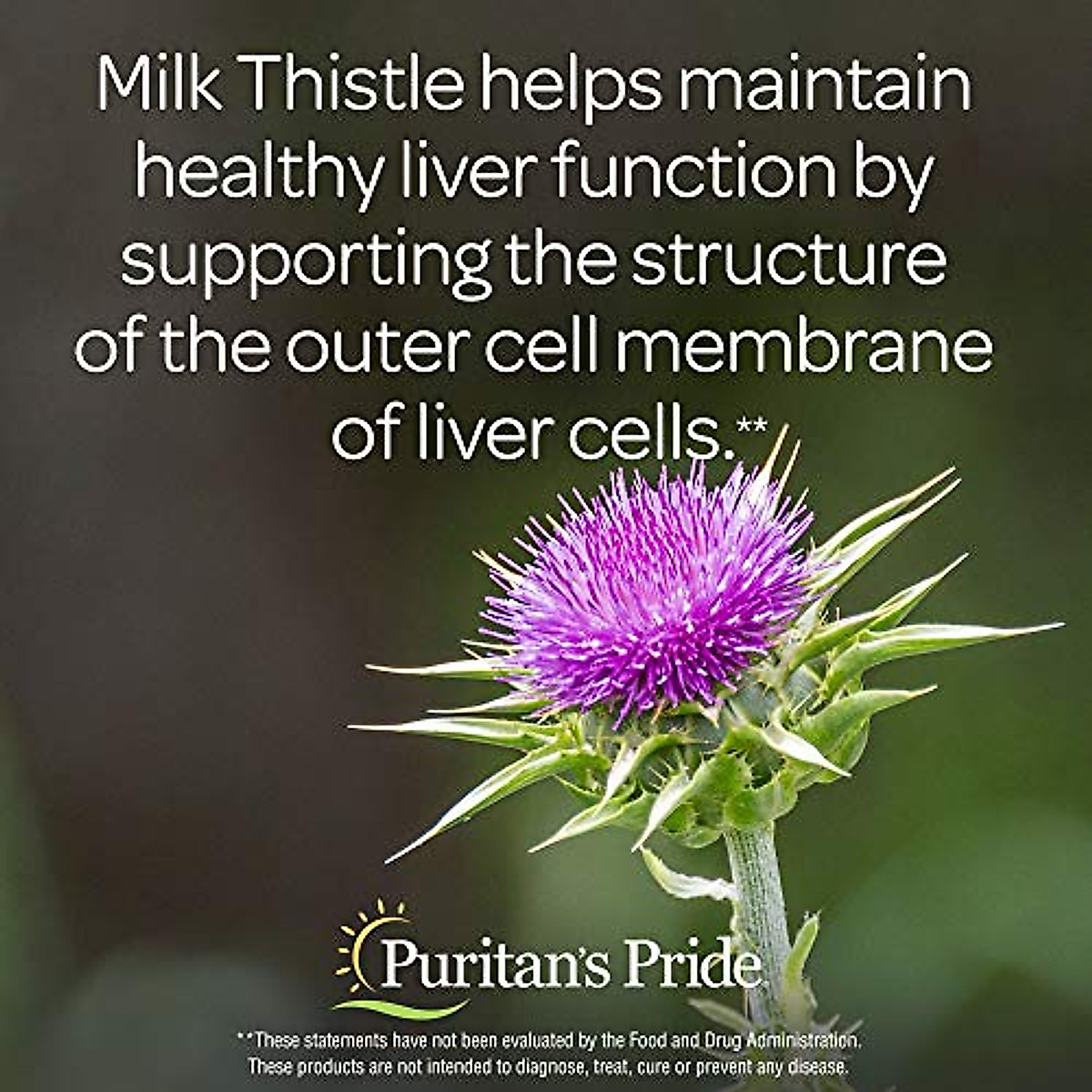 Puritans Pride Milk Thistle Liver Complex, Supports Healthy Liver Function, 90 Count, White