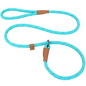 Slip Lead Dog Leash, Reflective Mountain Climbing Rope Leash, Dog Training Leash – 5FT, 2 Sizes (Medium, Turquoise)