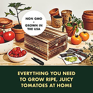 Indoor Vegetable Garden Starter Kit with Tomato Seeds for Planting - Tomato Garden Grow Kit, Non GMO Heirloom Seeds, Wood Gift Box, Soil, Pots, Plant Markers, DIY Home Gardening Gifts for Plant Lovers