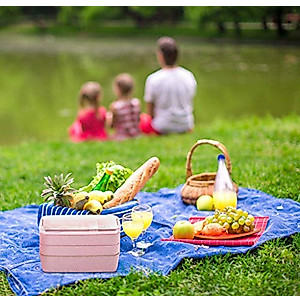 Bento Box Lunch Box for Adults Kids, AsFrost 3-In-1 Compartment Containers - Wheat Straw, Leakproof Eco-Friendly Bento Lunch Box Meal Prep Containers Microwave Safe (Pink)