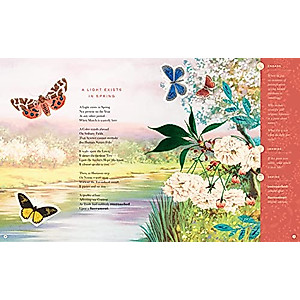 The Illustrated Emily Dickinson: 25 Essential Poems (The Illustrated Poets Collection, 1)