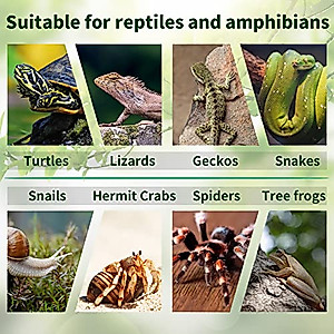 Hamiledyi Compressed Coconut Fiber Substrate,2 Pcs Tortoise Bedding Bricks Natural Hermit Crab Soil Soft Reptiles Terrarium Supplies for Snake Bearded Dragon Gecko Tarantulas Ball Python