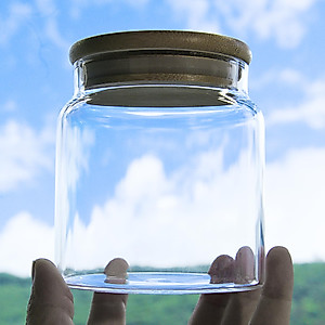 Custde 17.6 fl oz Glass Storage Containers with Lids, Candy Jar with Lid, Glass Food Storage Containers for Kitchen Counter, Pantry, Decorative Jar for Coffee, Sugar,Tea, Cute Jar (Bamboo 17.6 FL OZ)