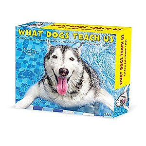 What Dogs Teach Us 2021 Box Calendar