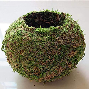 Moss Ball Flower Pot Natural Planter Bonsai Plant Holder Bird Nest for DIY Gardening Home Table Decoration - 12cm