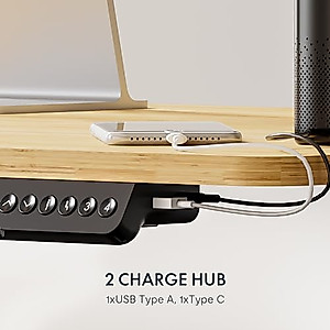 FLEXISPOT Adjustable Desk Quick Assembly Electric Standing Desk with 48 x 24 Inches Whole-Piece Ergonomic Memory Controller Sit Stand Desk(White Frame + 48" Bamboo Texture Desktop)