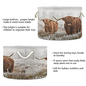 Scottish Highland Cow Cotton Rope Basket, XXX Large Collapsible Storage Basket for Toys, Pillows, Blankets in Living Room, Laundry Room, Bathroom, Home Decor