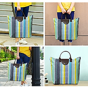 Collapsible Folding Shopping Bag with Wheels Foldable Shopping Cart Reusable Grocery Bags, Trolley Bag on Wheels (B0741YPTV7)