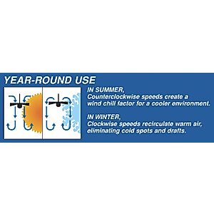 Westinghouse 7802100, Polished Brass Lighting 78021 52-Inch Contractor's Choice Ceiling Fan