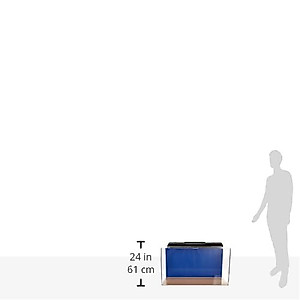 SeaClear 50 gal Acrylic Aquarium Combo Set, 36 by 15 by 20", Cobalt Blue