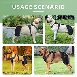 KERBIY LISPOO Dog Hip Support Brace for Hip Dysplasia,Hip Joint Pain, Hip Brace for Dogs with Low Back Pain/Weakness, Dog Hip Dysplasia Brace Warm Hip Joint to Relieves Pain, Dog Hip Brace(XXL)
