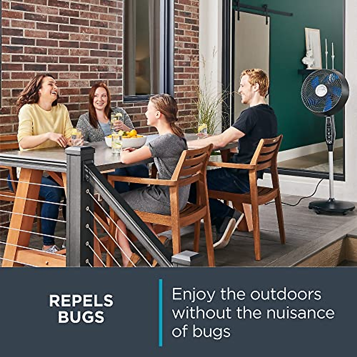 Rowenta Extreme Outdoor Fan with Remote 65 Inches Ultra Quiet Fan Oscillating, Portable, 3 Speeds, Digital Control VU4510, Black