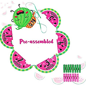 One in a Melon Photo Banner Watermelon 12 Month Photo Prop for First Birthday Party Bunting Decor Summer Fruit Party for Baby Girl