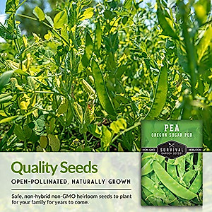 Survival Garden Seeds -Oregon Sugar Pod II Pea Seed for Planting - Packet with Instructions to Plant and Grow Delicious Snow Peas in Your Home Vegetable Garden - Non-GMO Heirloom Variety