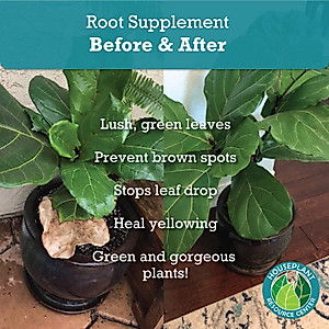 Houseplant Resource Center - Root Supplement, Liquid Root Stimulator - for Fiddle Leaf Fig & Indoor Plants - Propagation Promoter, Root Rot Treatment - Food for Healthy Roots, Stems, & Leaves - 8 Oz