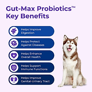 PAWLABS Gut-Max Probiotic Chews - Patented BC30™ Bacillus Coagulans - Natural, Vet Formulated Digestive & Immune Support - Relieves Diarrhea, Constipation, Bloating - Duck Flavor - 90 Soft Chews