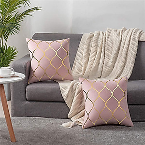 DEZENE Gold Velvet Throw Pillow Covers: 2 Pack 18x18 Inch Square Decorative Pillow Cases for Bedroom Sofa Couch Living Room, Pink