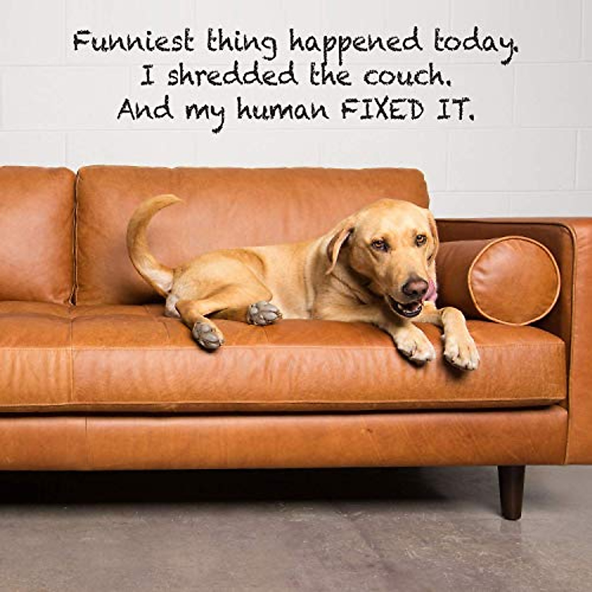 Coconix Vinyl and Leather Repair Kit - Restorer of Your Furniture, Jacket, Sofa, Boat or Car Seat, Super Easy Instructions to Match Any Color, Restore Any Material, Bonded, Italian, Pleather, Genuine