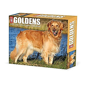 Just Goldens 2021 Box Calendar (Dog Breed Calendar)