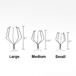 Tillandsiart 10 Pack Vertical Air Plant Holder (Suction Cup, Stainless Steel Tillandsia Air Plant Planter) A Unique Set of Air Plant Containers for Creating Tillandsia Art Display on Window. (Small)